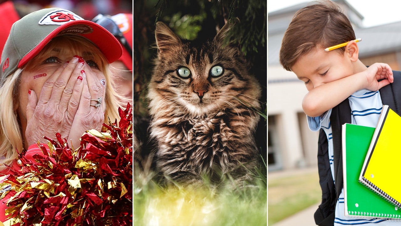 The aftermath of the Super Bowl, the deadly Alaskapox virus, and the ...